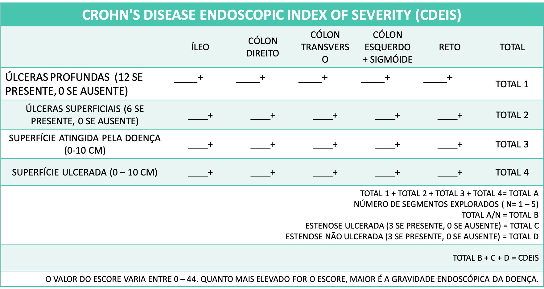 CDEIS (Crohn’s Disease Index of Severity) • Endoscopia Terapeutica